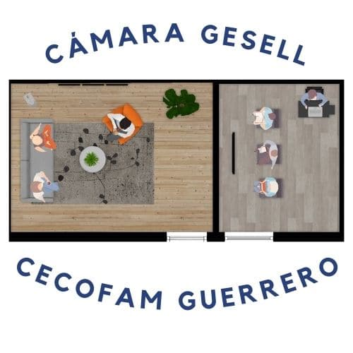 Cámara Gesell ⋆ CECOFAM