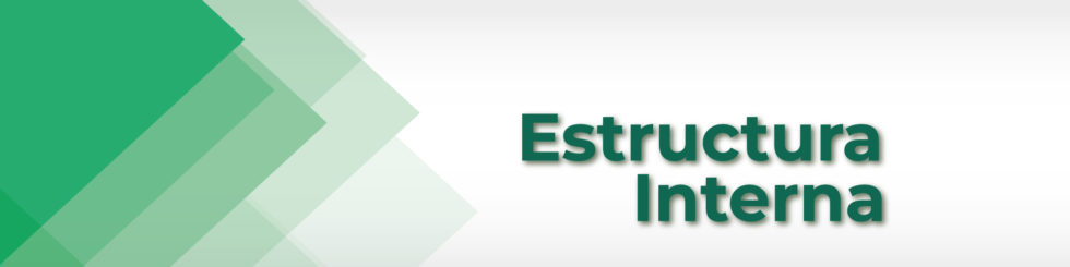 Estructura Interna ⋆ CECOFAM